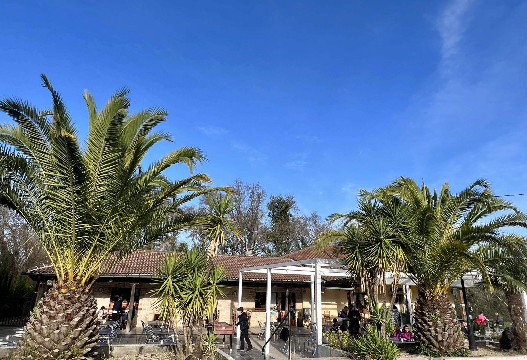 BORDA BERRI EN RENTERIA | Sisters and the City