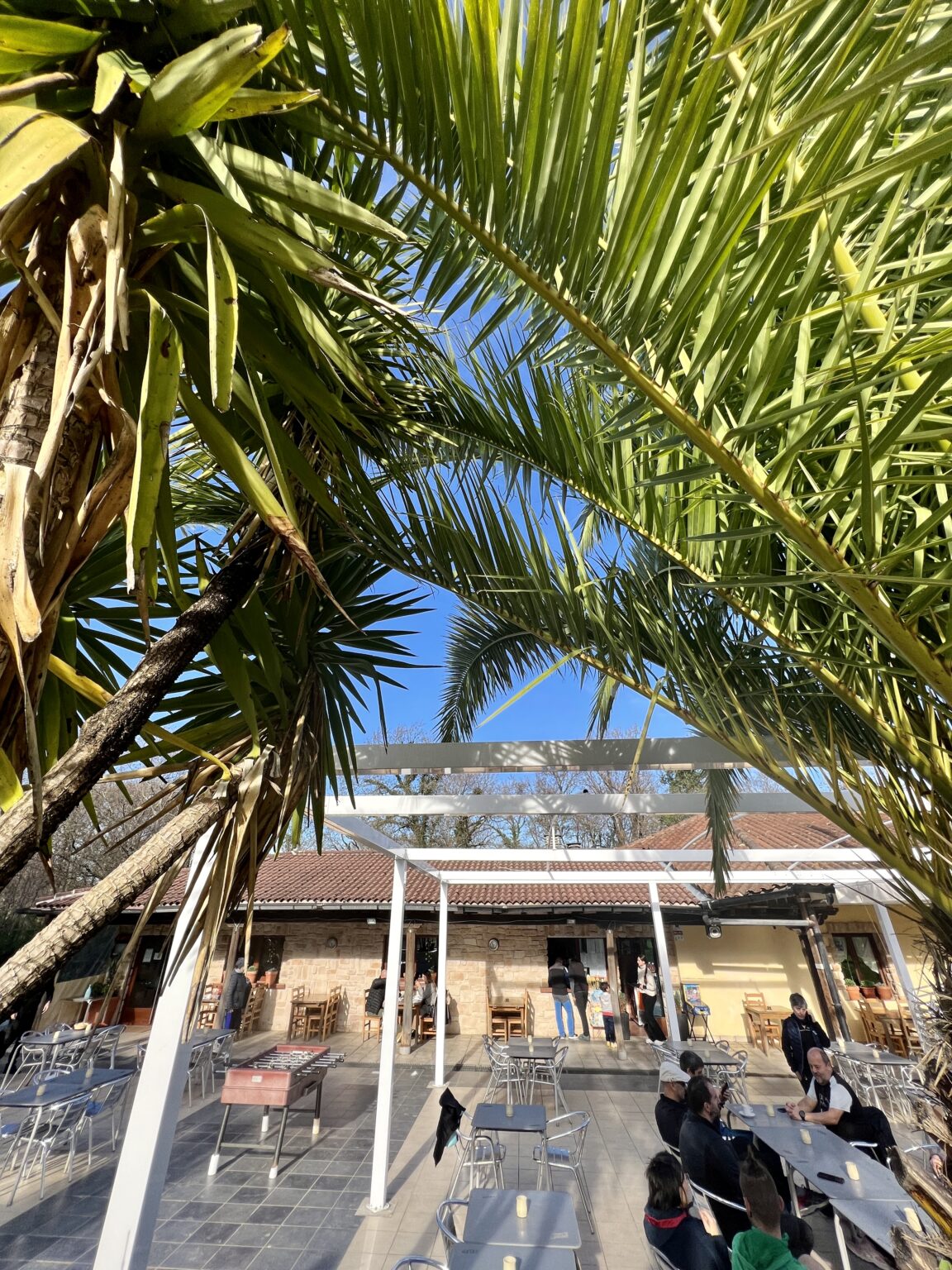 BORDA BERRI EN RENTERIA | Sisters and the City