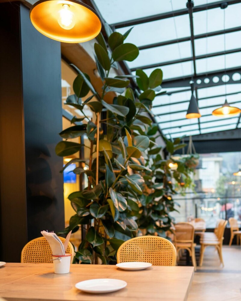 bert (2) | Sisters and the City